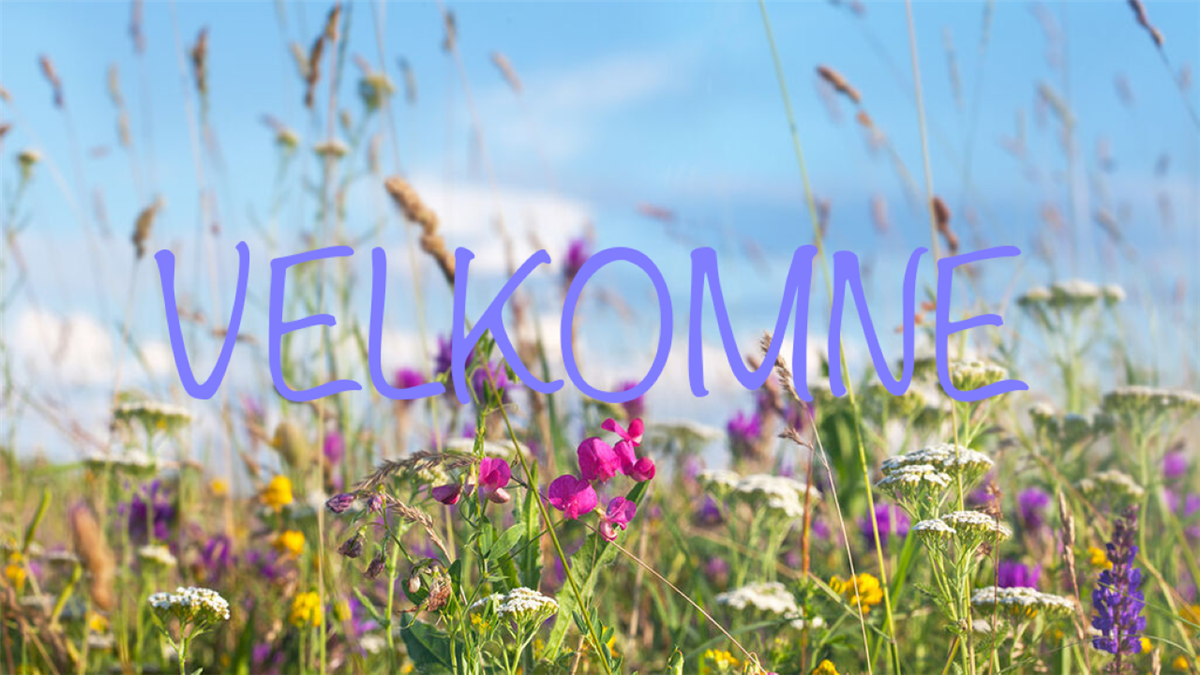 Velkomstskriv til Vg2 og Vg3 elevar - Stranda vidaregåande skule